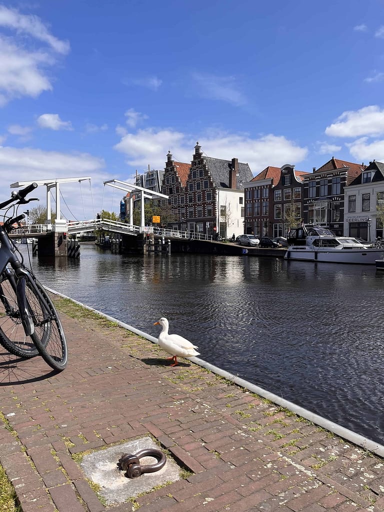Is Haarlem Worth Visiting? Reasons And Things To Do - Travel with Simina